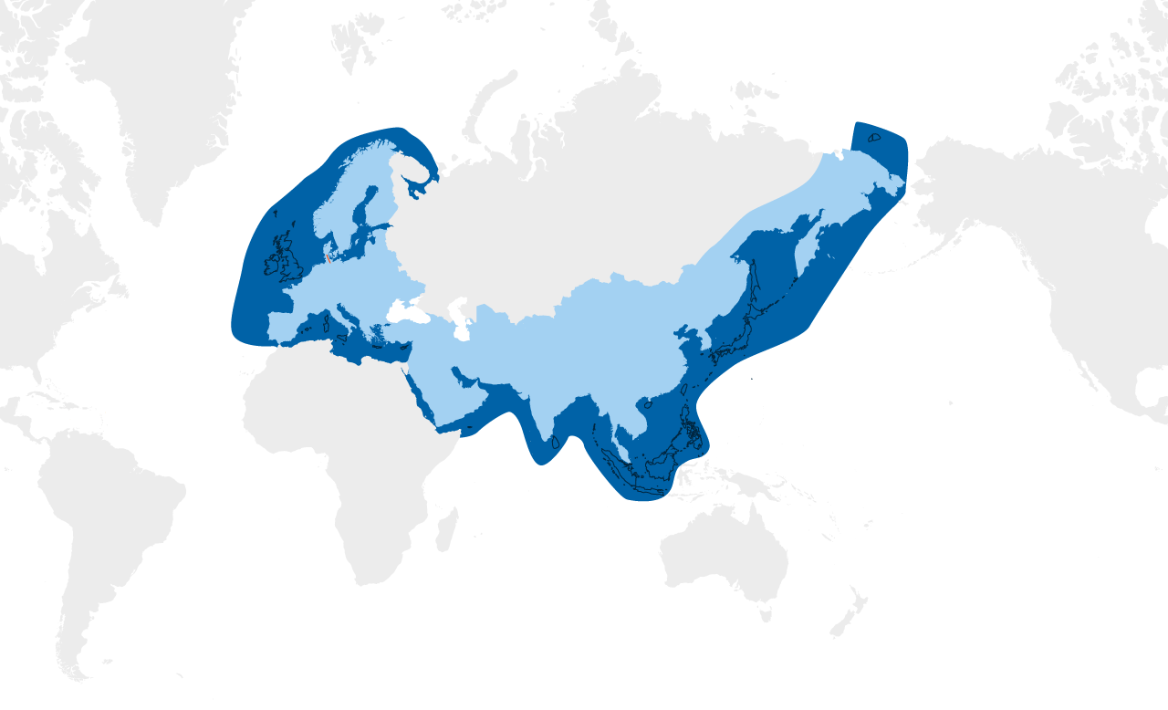 An Intro to Geopolitics – TheGeoPolity